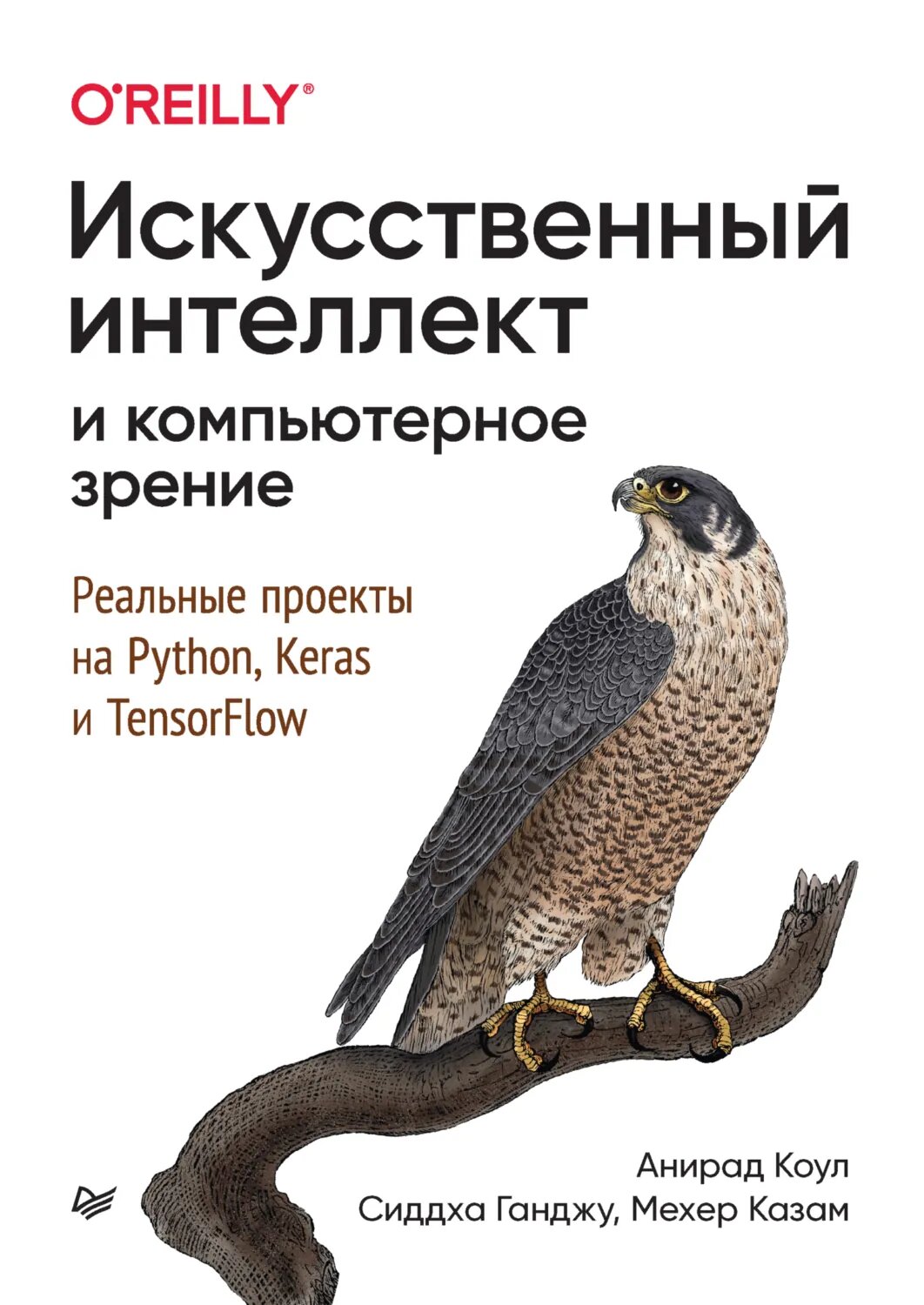 Искусственный интеллект и компьютерное зрение. Реальные проекты на Python, Keras и TensorFlow (+ epub) [Цифровая книга]
