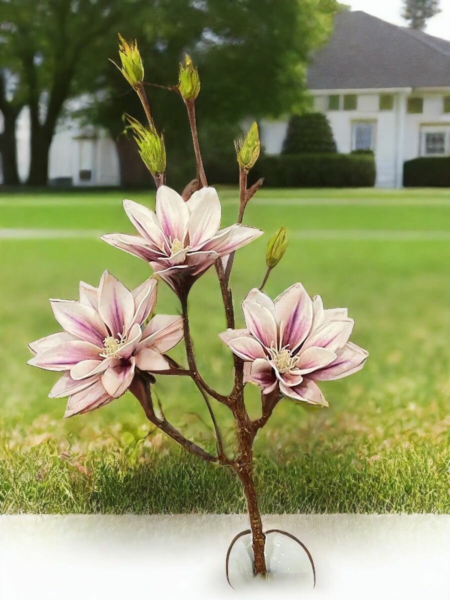 Магнолия искусственная ветка и цветы для декора и интерьера