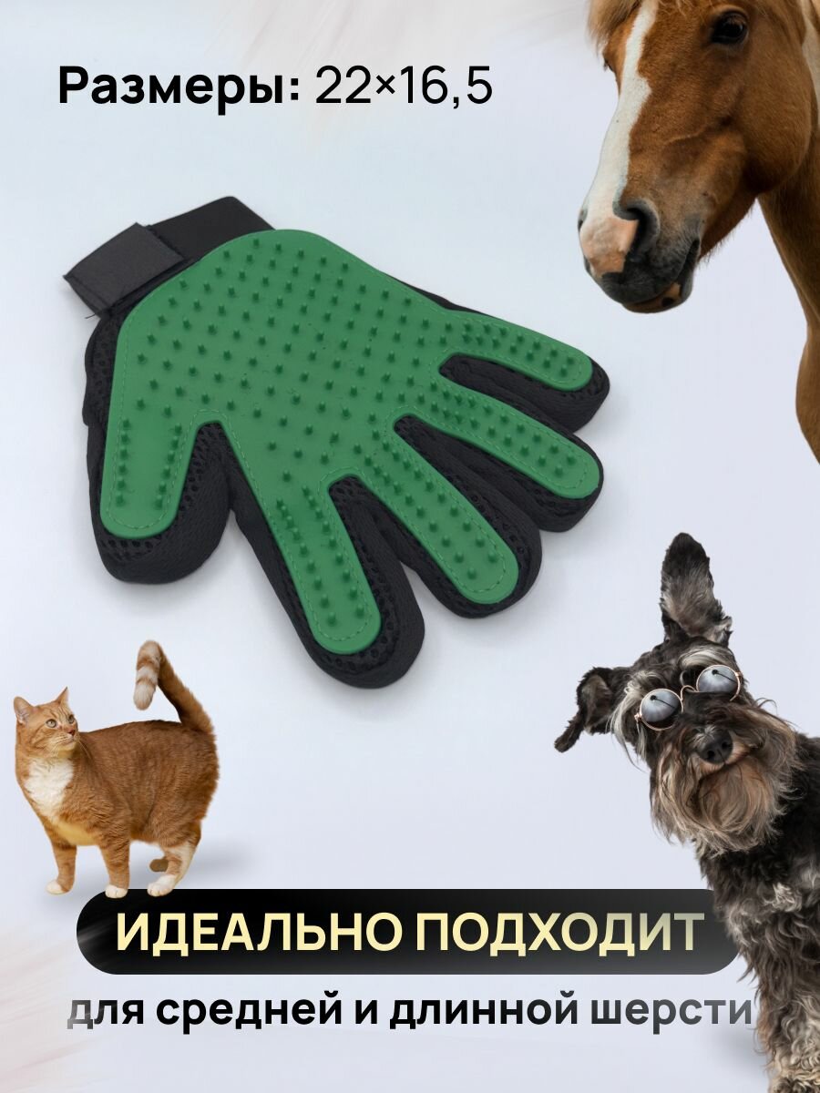 Перчатка расческа для вычесывания шерсти кошек и собак, цвет зелёный
