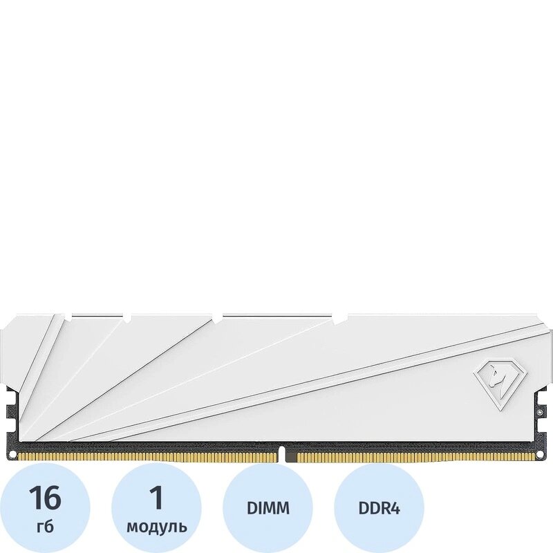 Модуль памяти Netac Shadow S 16GB DIMM DDR4 3200Мгц (NTSSD4P32SP-16W)