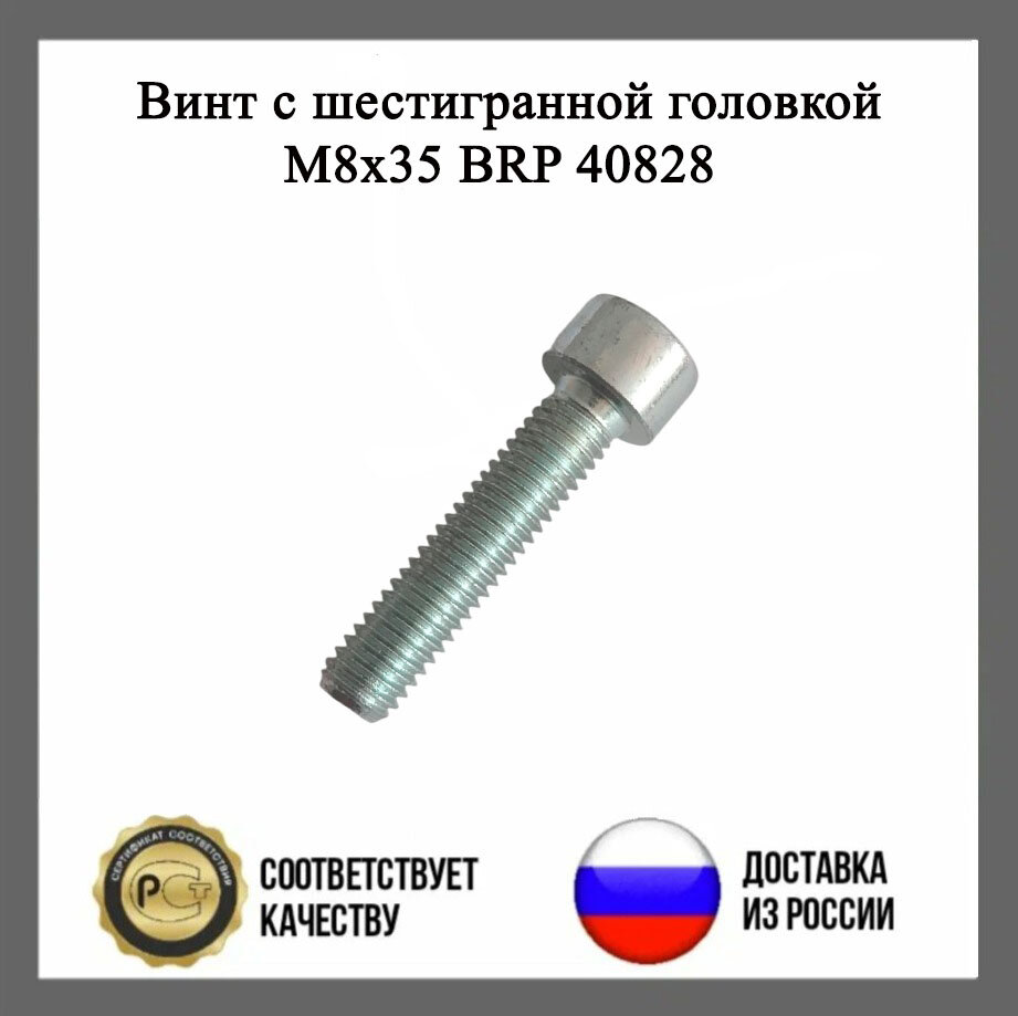 Винт с шестигранной головкой M8x35 BRP 40828