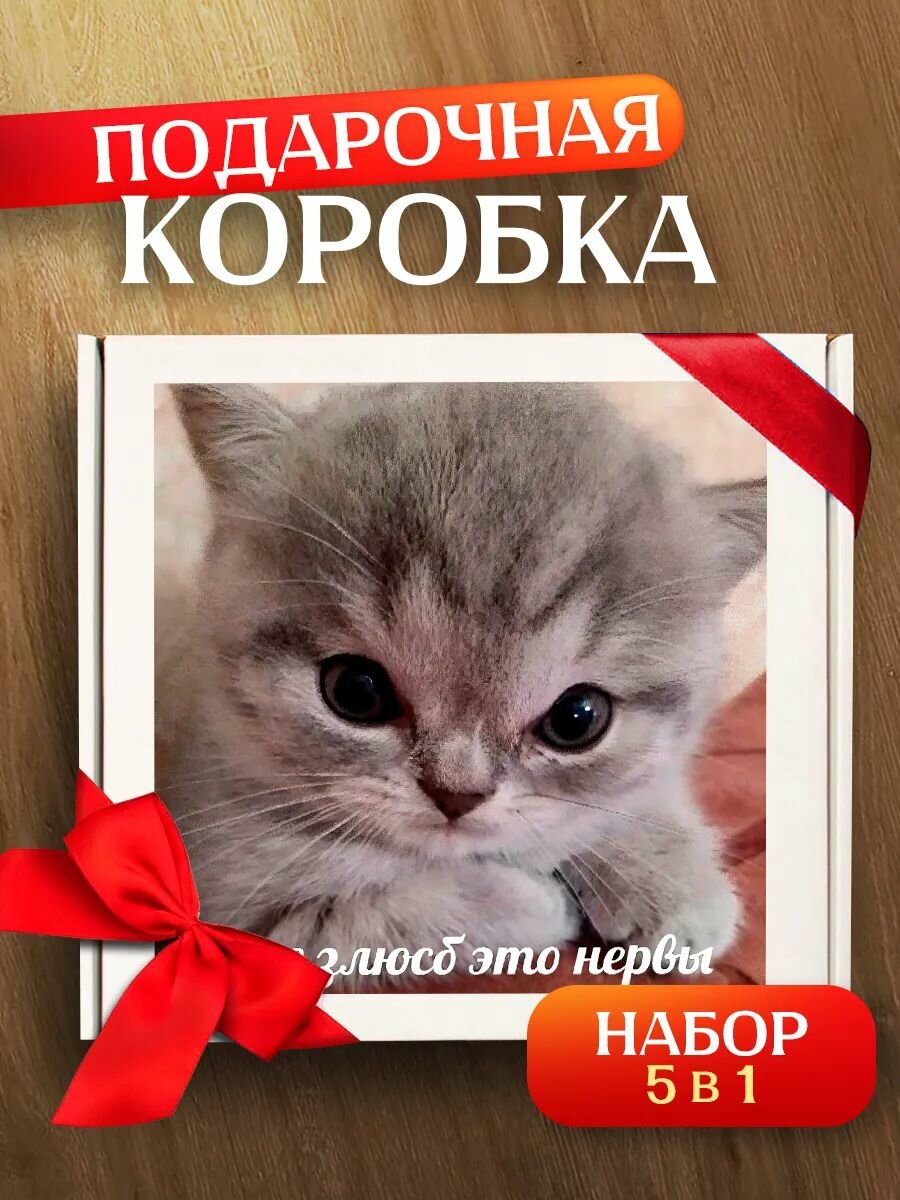 Подарочная коробка мем котики