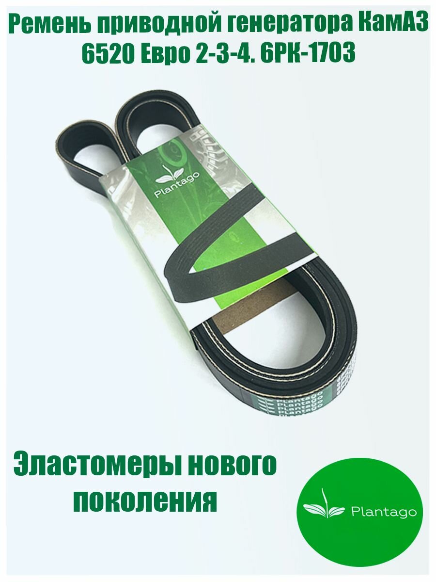 Ремень 1703 6РК приводной генератора КАМАЗ Евро 2 3 4 Plantago