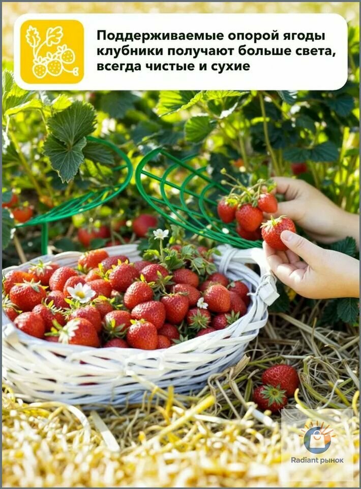 Шпалера,30см,15шт — фото 1