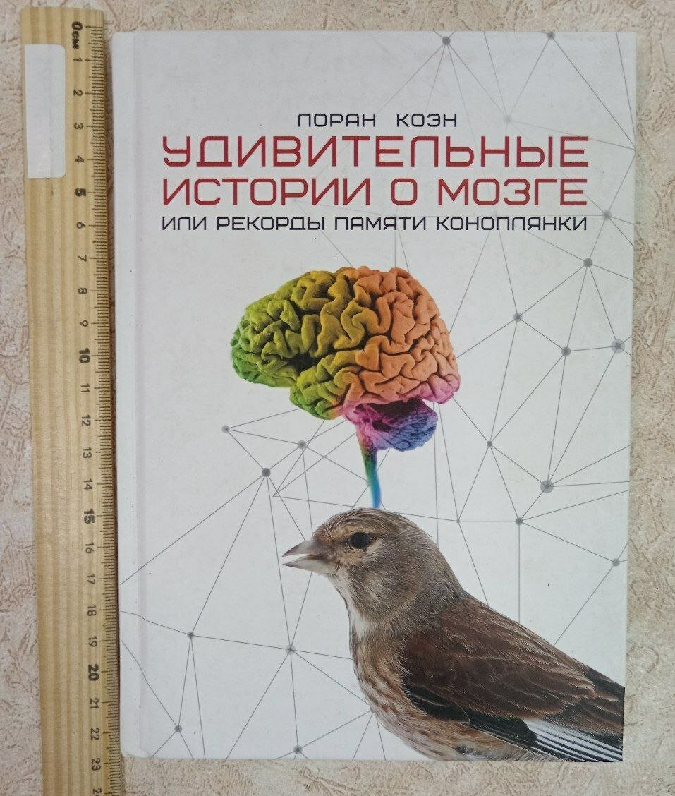 Удивительные истории о мозге, или рекорды памяти коноплянки