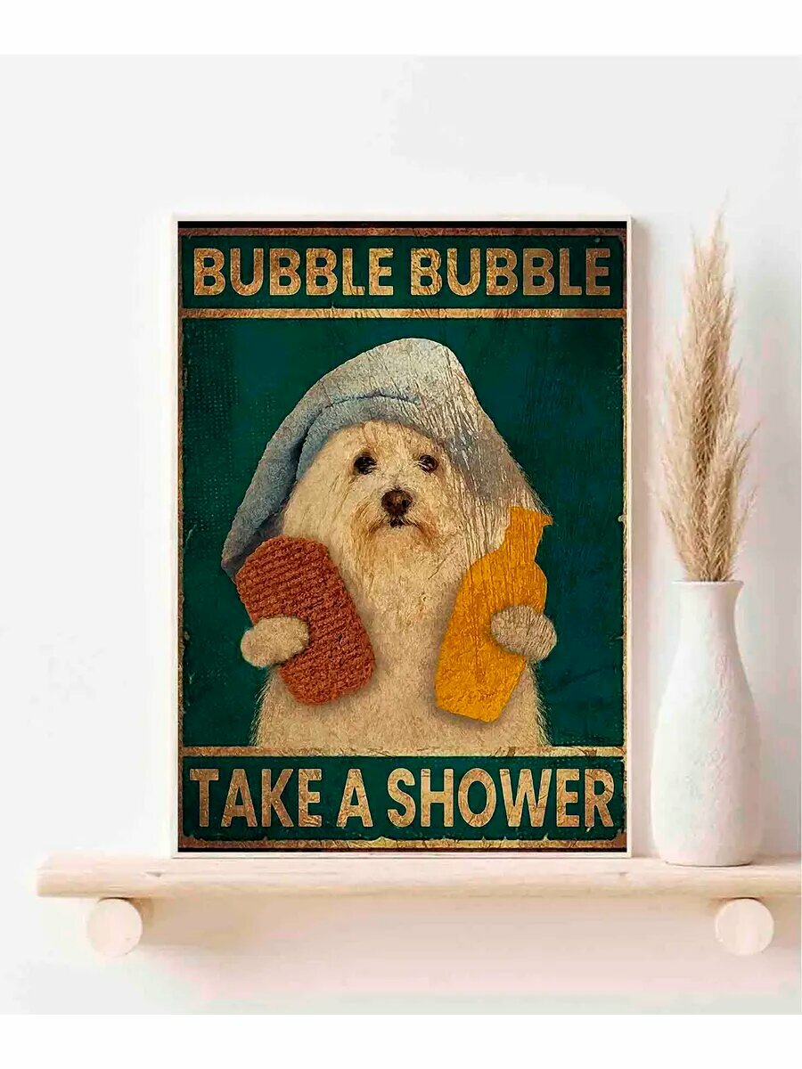 Котон-де-Тулеарская собака, Bubble Bubble Take a Shower, Пла