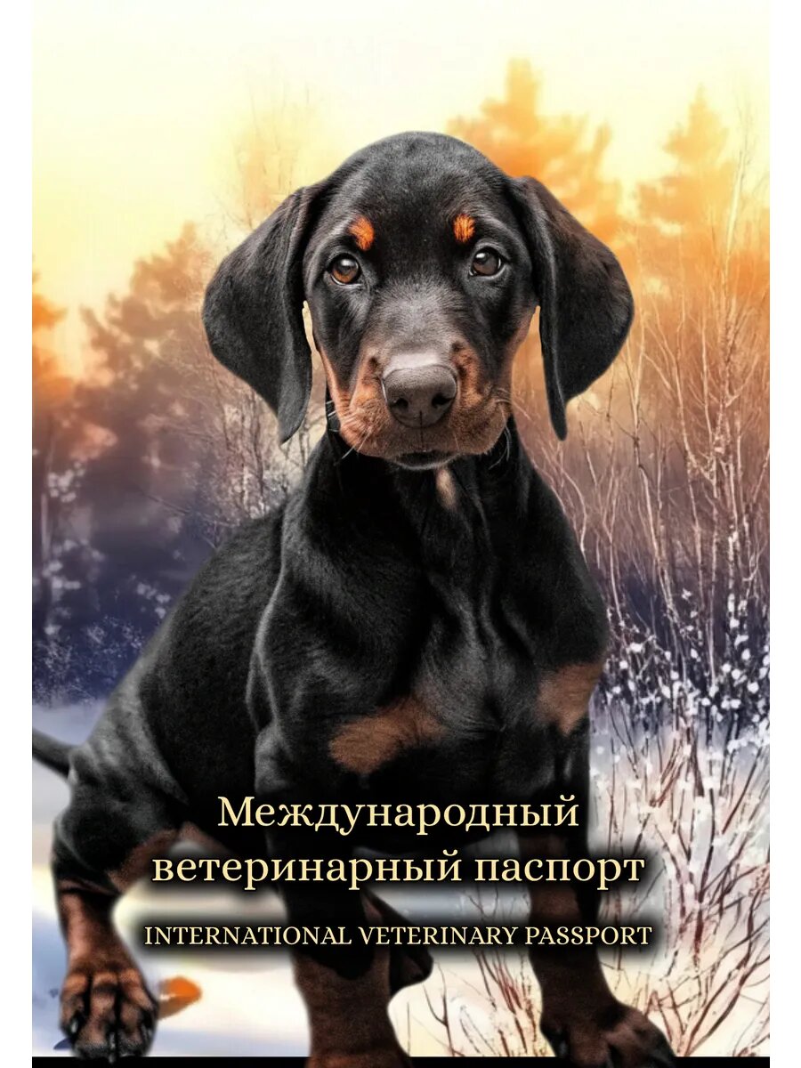 Международный ветеринарный паспорт с аудио-записью