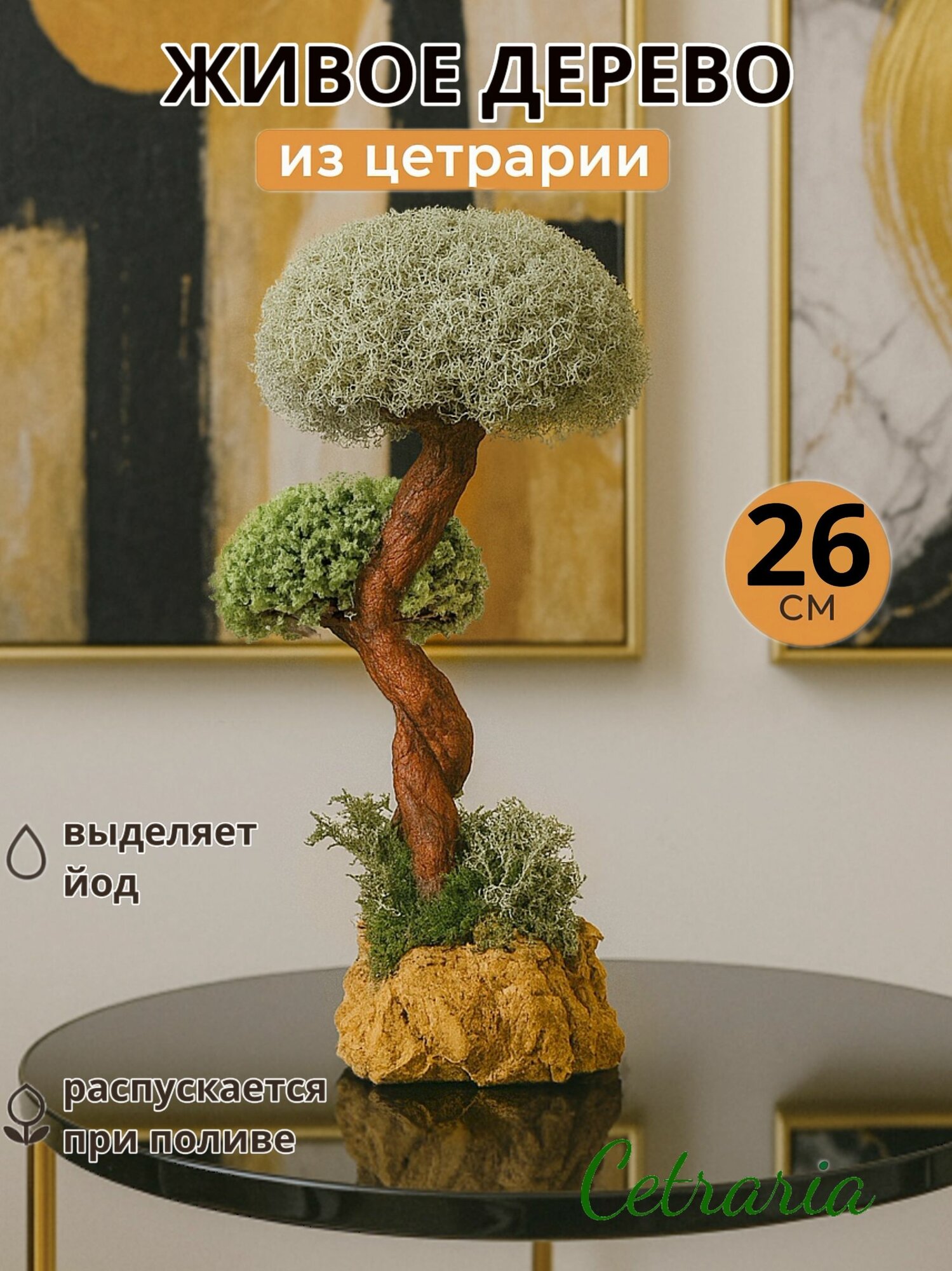 Дерево из Цетрарии / Декор для дома, офиса, 26 см