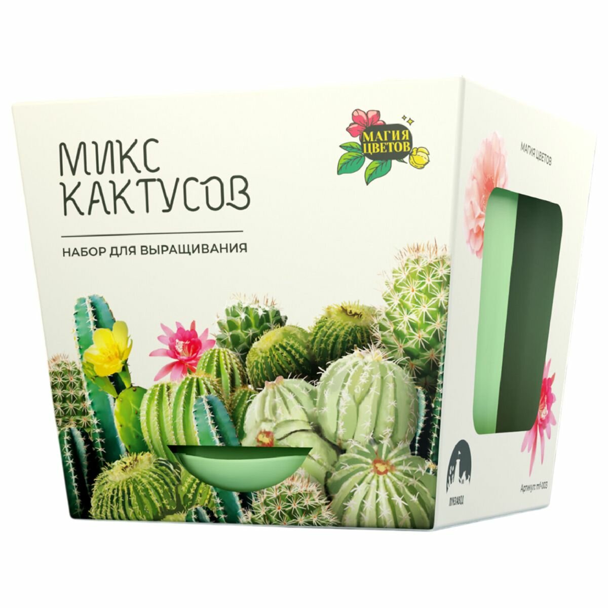 Набор для выращивания растений Магия цветов "Кактусы микс" (горшок, грунт, семена) (mf-003)