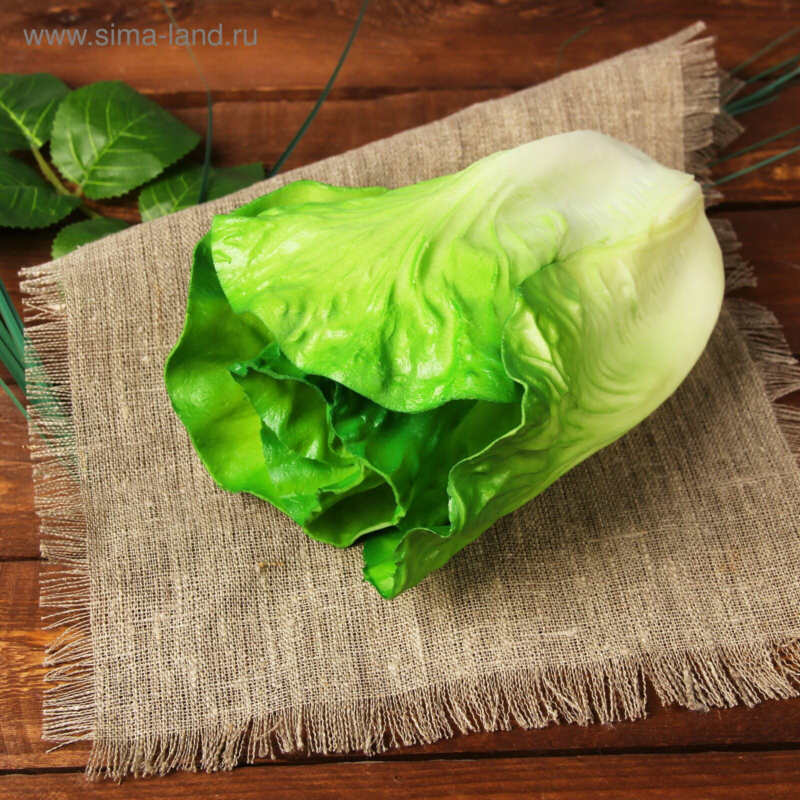 Муляж "Листья салата", 17 см, цвет: зелёный, размер упаковки: 13 x 18 x 10 см.