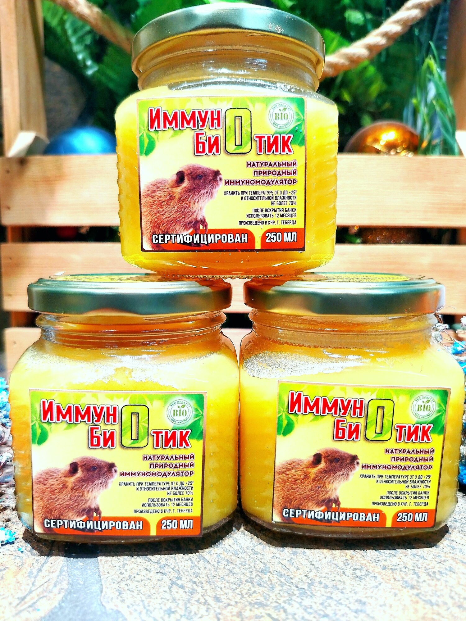 Бустер "Иммунобиотик", от бронхита, туберкулеза, кашля, ЖКТ, сосудов, 250г