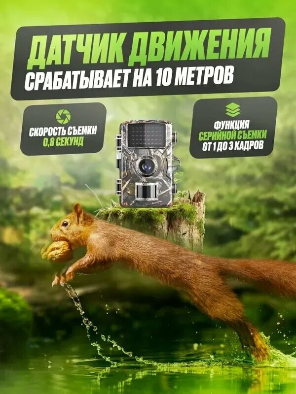 Фотоловушка — фото 1