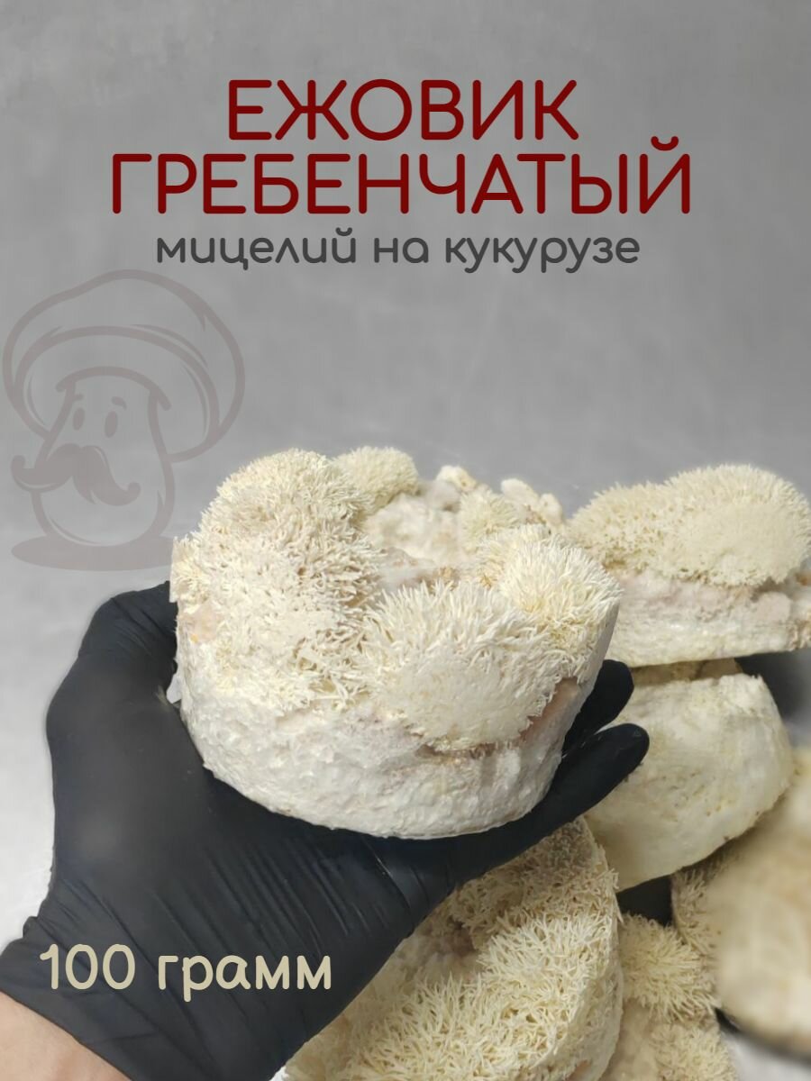 Ежовик гребенчатый порошок мицелий натуральный, 100г