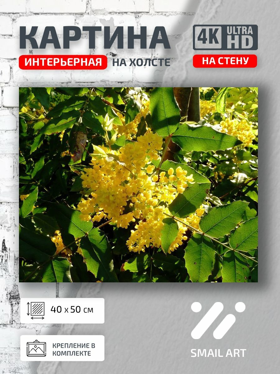 Картина на холсте интерьерная 40 на 50 на стену Цветки Landscape для спальни пейзаж декор
