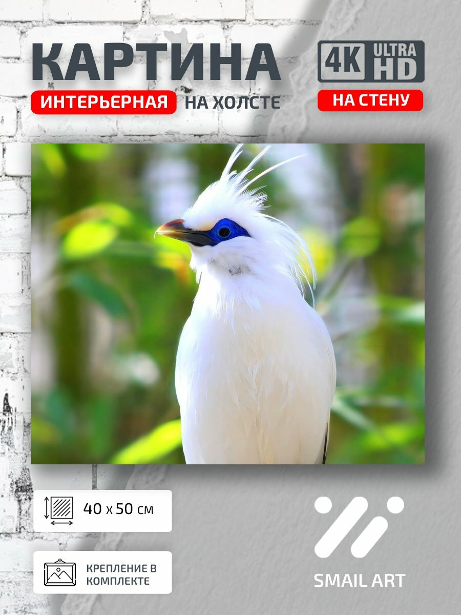 Картина на холсте интерьерная 40 на 50 на стену Белая Landscape для офиса пейзаж интерьер