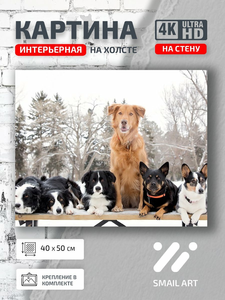Картина на холсте интерьерная 40 на 50 на стену Снег Landscape для офиса пейзаж интерьер