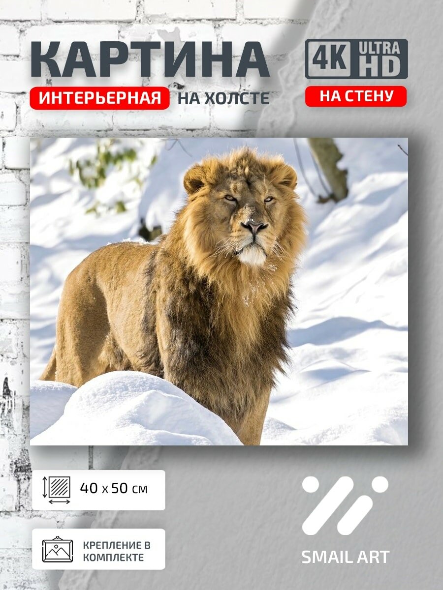 Картина на холсте интерьерная 40 на 50 на стену Животные Лев для спальни атмосфера