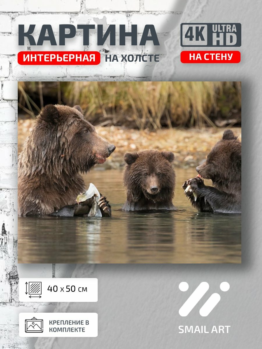 Картина на холсте интерьерная 40 на 50 на стену Медвежата Animal для спальни animal style