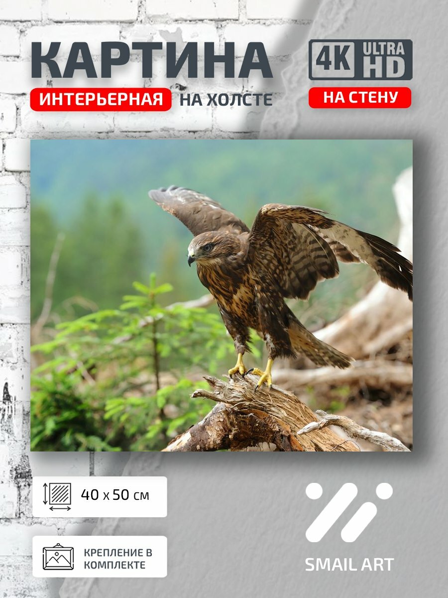 Картина на холсте интерьерная 40 на 50 на стену Деревья Animal для детской animal style