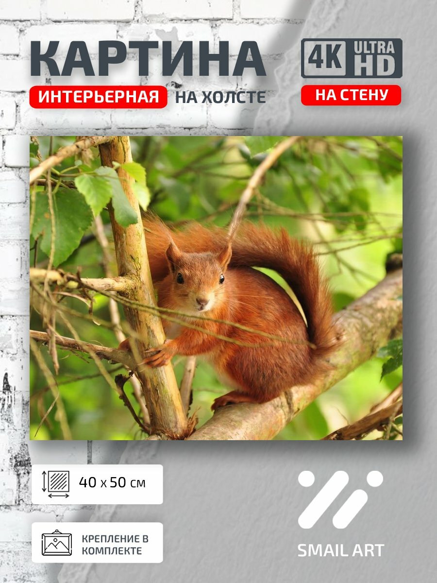 Картина на холсте интерьерная 40 на 50 на стену Лето Mood для студии атмосфера интерьер