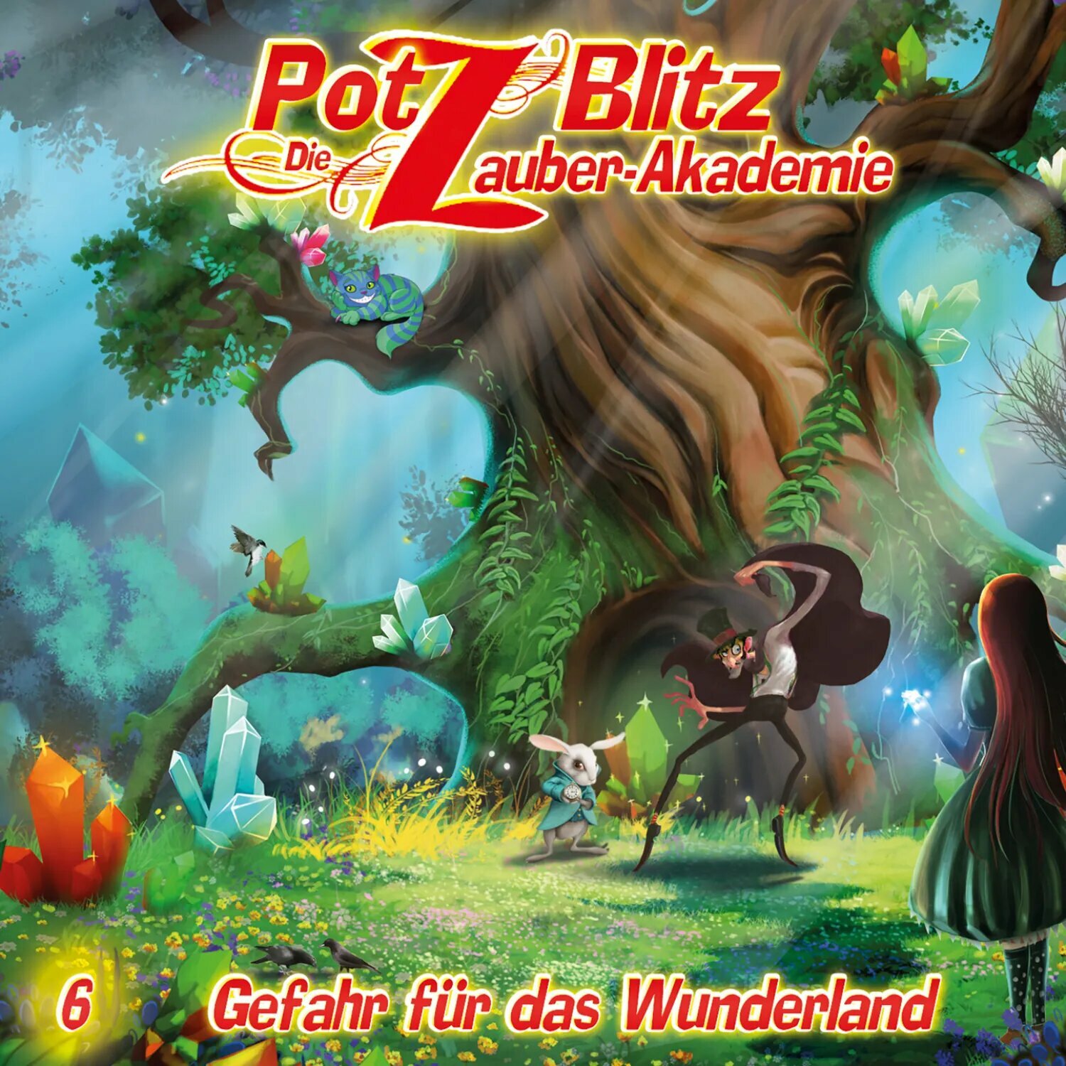 Potz Blitz - Die Zauberakademie, Folge 6: Gefahr für das Wunderland [Аудиокнига]