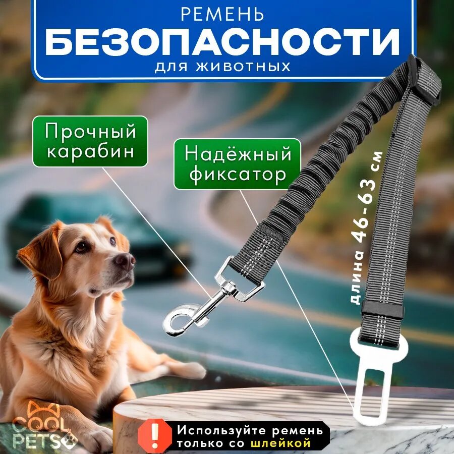 Ремень безопасности для собак