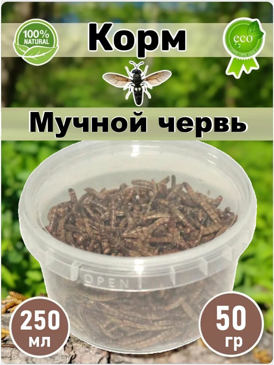 Мучной червь сушёный, 50г натуральный высокобелковый корм для животных и птиц