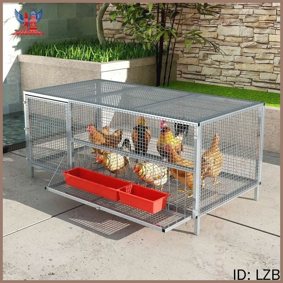 Металлическая клетка для кур с кормушкой, прочная и удобная, 100*57*62 см