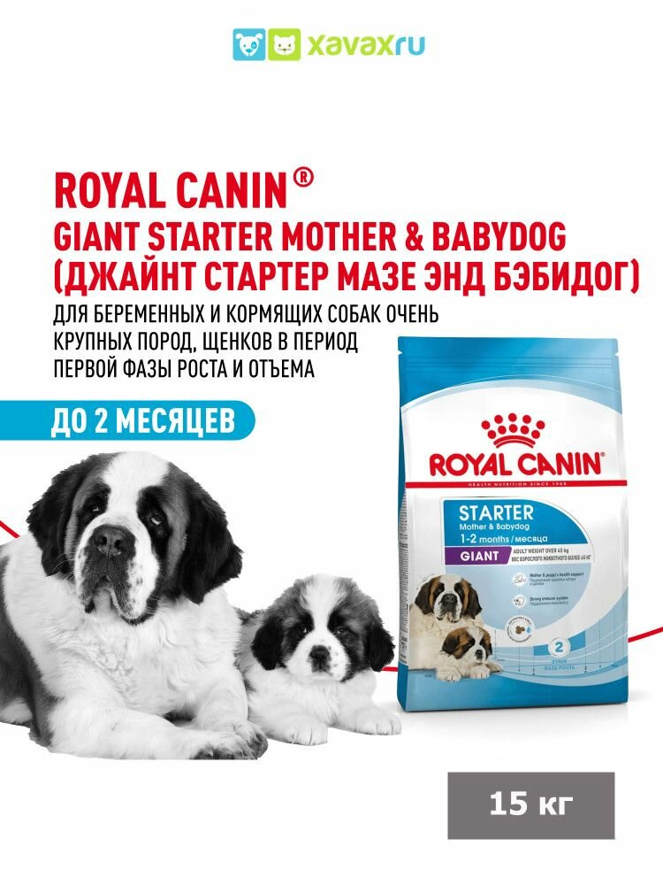 Сухой корм Royal Canin Giant Starter для щенков очень крупных размеров до 2 месяцев, беременных и кормящих сук, 15 кг