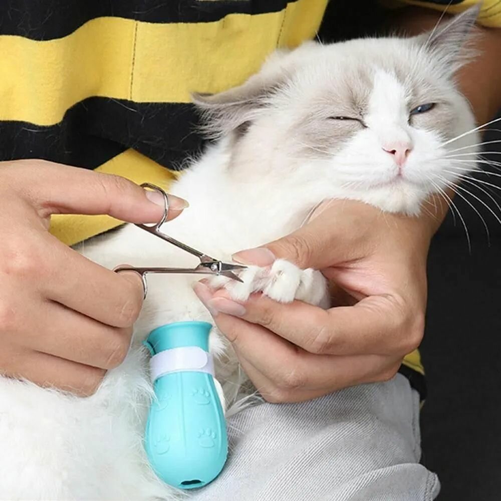 Антицарапки для кошек / Мягкие силиконовые чехлы для груминга, купания