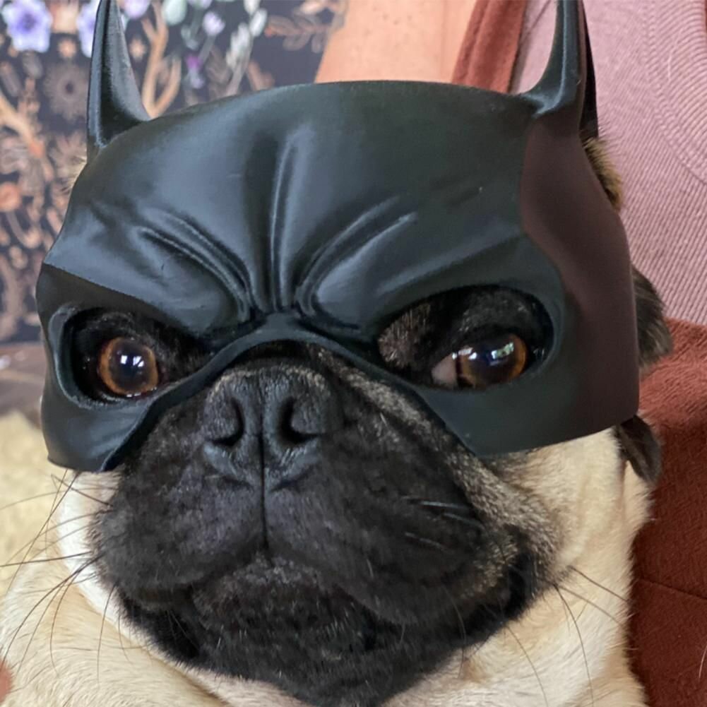 Маска собаки Бэтмена, Смешные костюмы собак