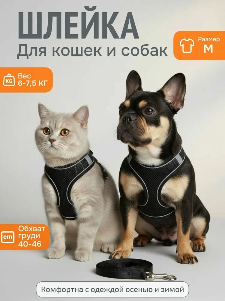 Шлейка для кошек и собак обхват груди 40-46, дышащая, со светоотражающими элементами, размер M