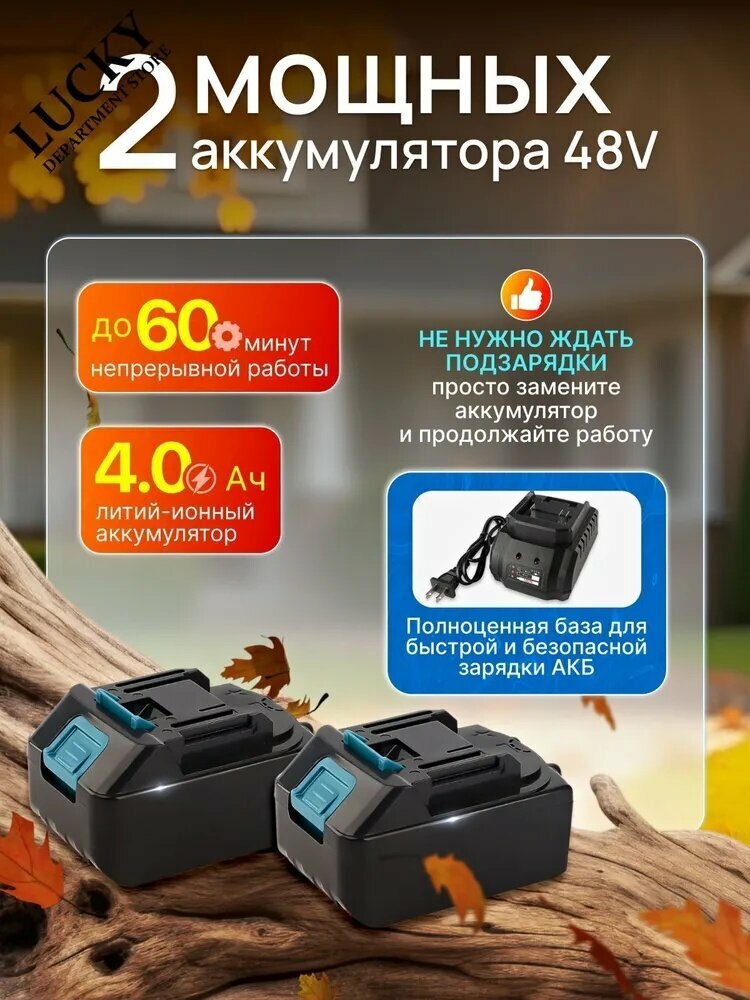 Воздуходувка,3000Вт — фото 1