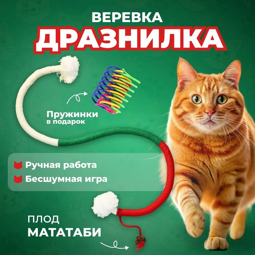 Игрушка для котов с кусанием веревки и зубоочисткой, прочная веревка+пружинная игрушка смешанных цветов 4 штуки, веревка из хлопка 70см*1см, с галловым плодом, 1 веревка+4 цветных пружины