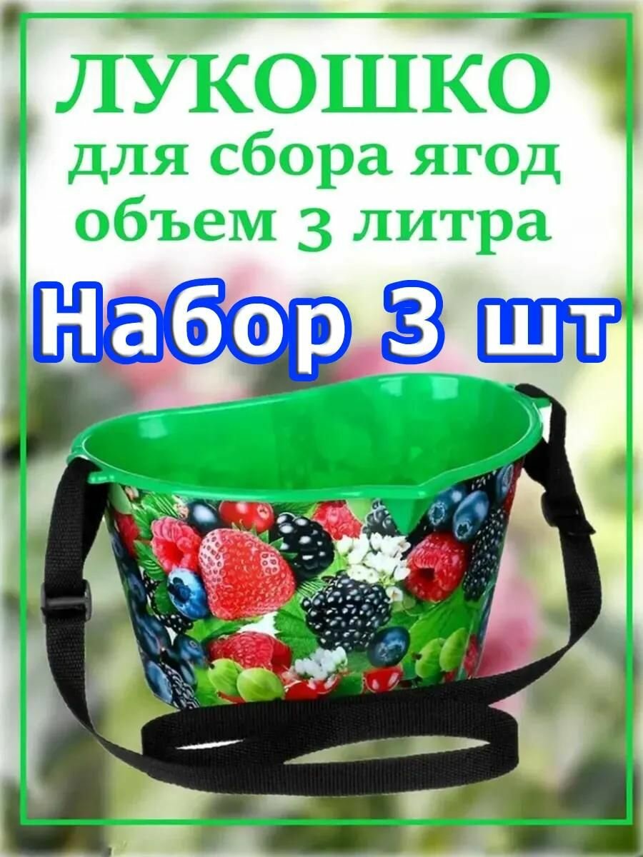Плодосборник