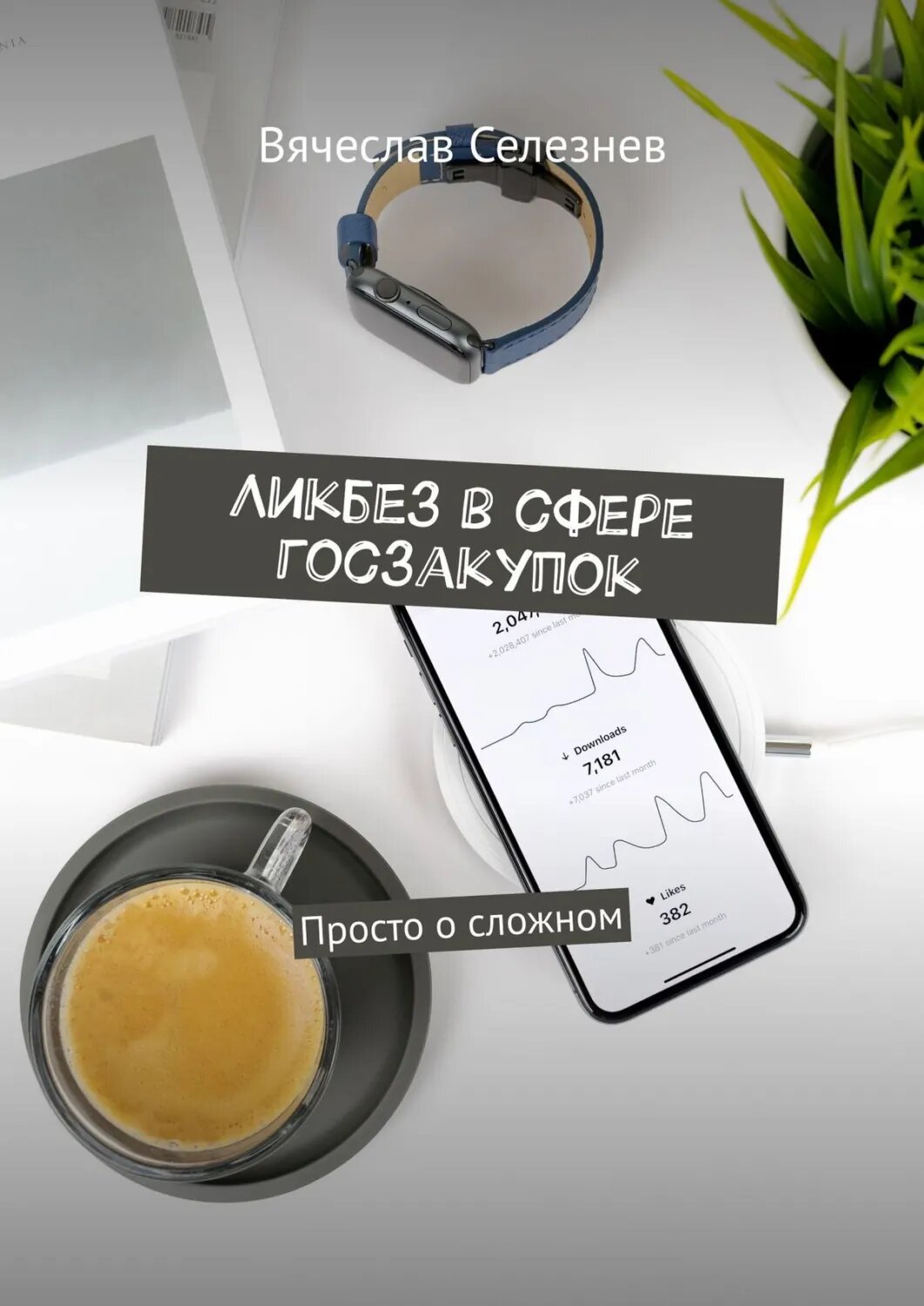 Ликбез в сфере госзакупок. Просто о сложном [Цифровая книга]