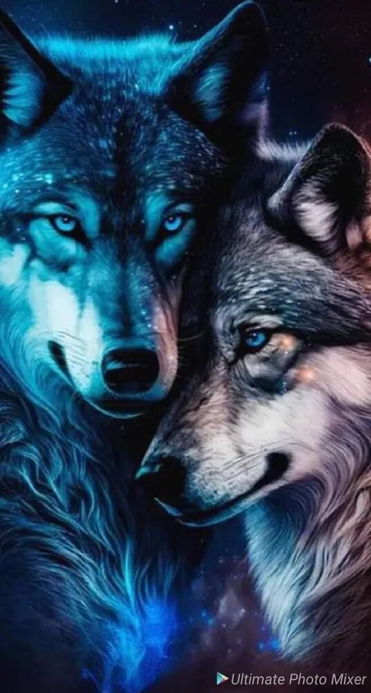 Алмазная Мозаика "Пара Волков" 40x50 См Алмазная Вышивка / Картина Стразами Подарков / Украшения