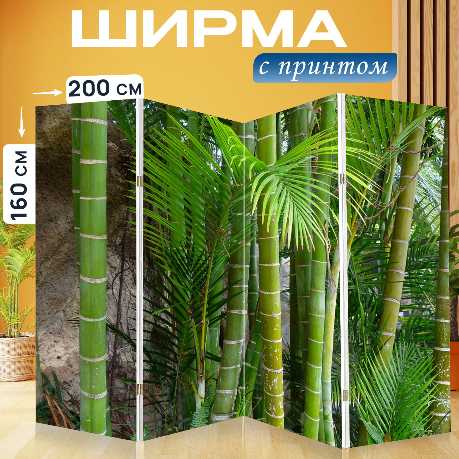 Ширма "Бамбук, гигантский бамбук, стебли бамбука" перегородка для зонирования комнаты с принтом 200x160 см. на холсте