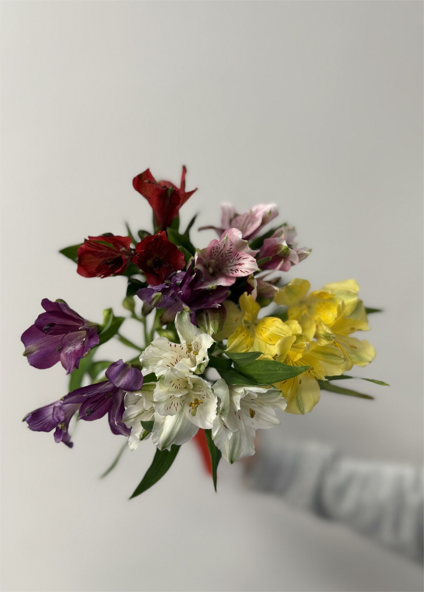 Букет из 5 альстромерий микс под ленту, монобукет, 50 см | Турбофлора