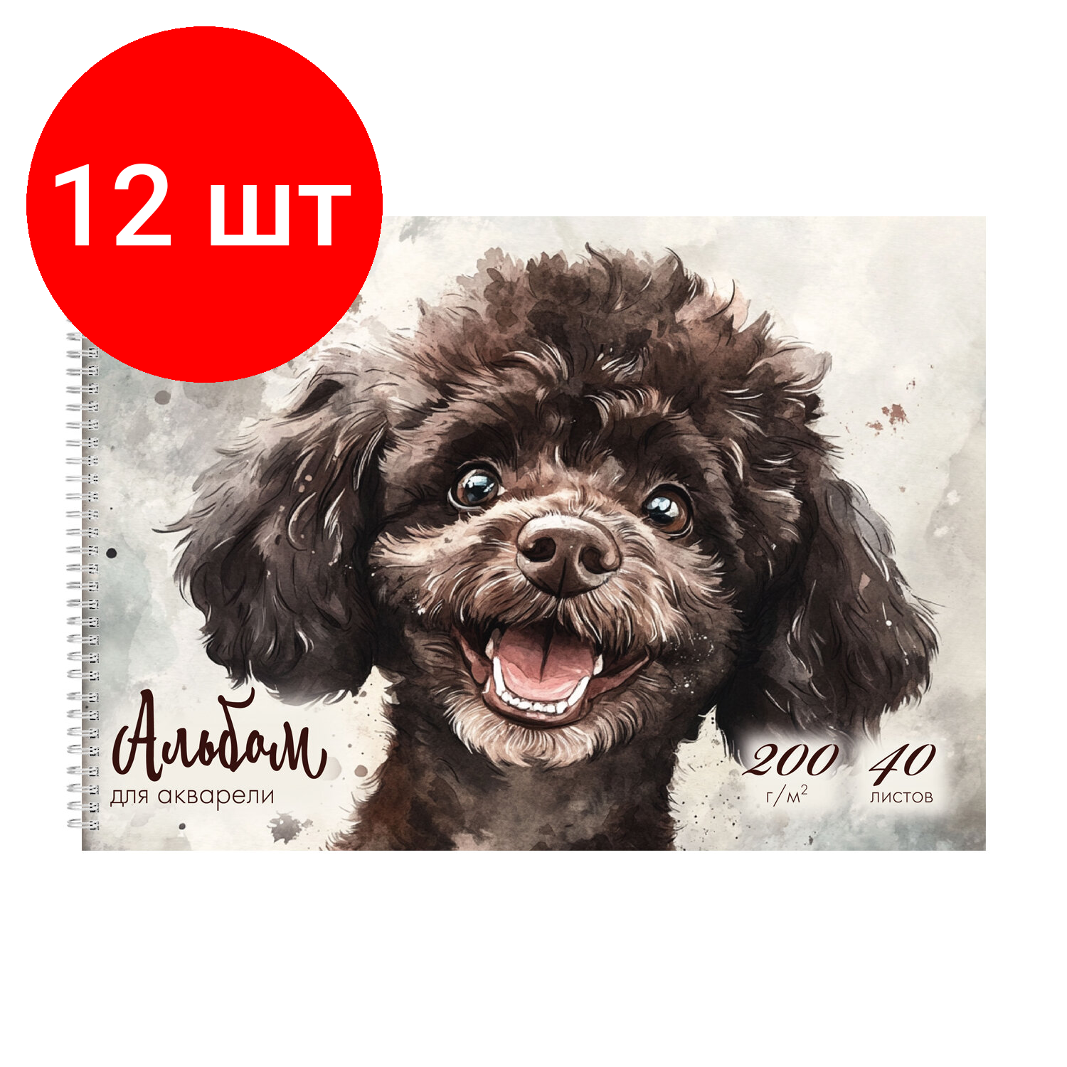 Комплект 12 шт, Альбом для акварели А4 40 л, бумага 200 г/м2, гребень, твердая подложка, BRAUBERG, "Пудель", 116885