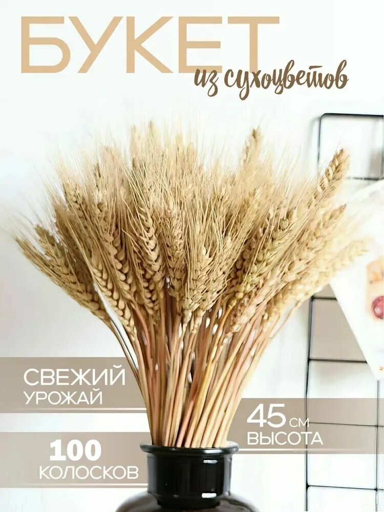 Сухоцветы Пшеница, 50 см, 120 гр, 100 шт