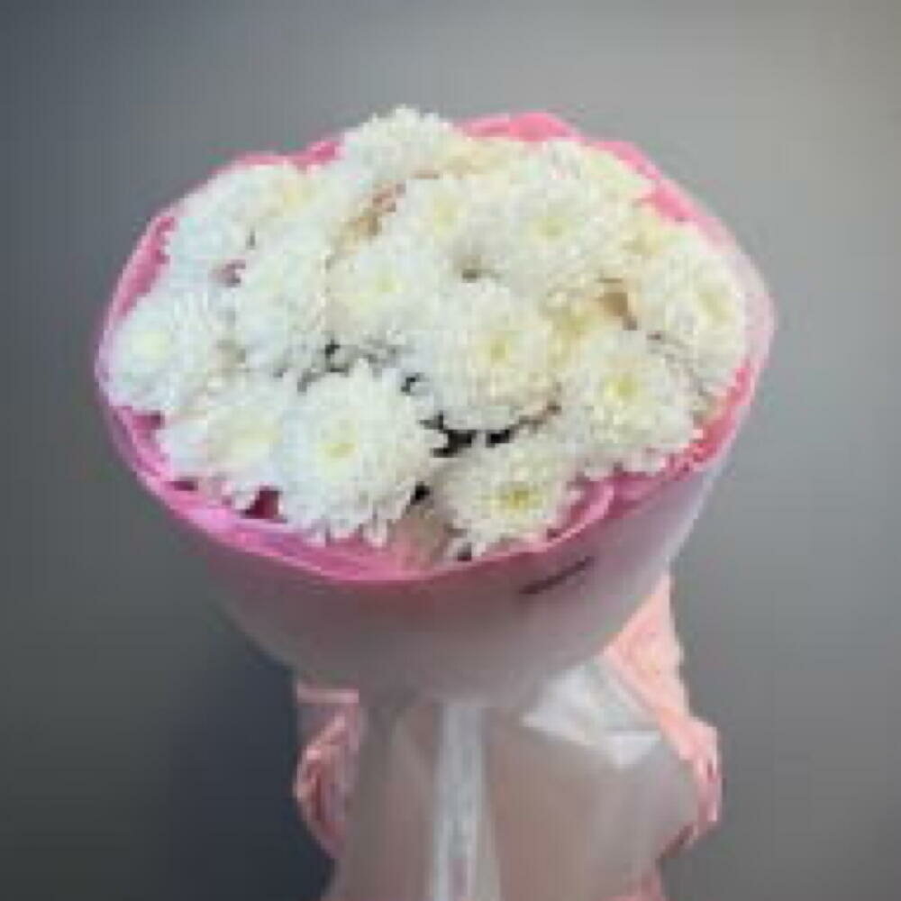 Монобукет Сады Любви "Моно белая кустовая хризантема", 5 шт. для бабушки, мамы, женщины, Любимой