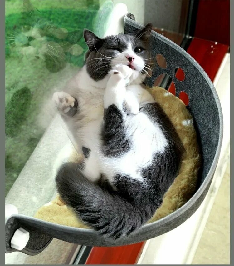 Подвесной гамак лежанка для кошек на окно на присосках