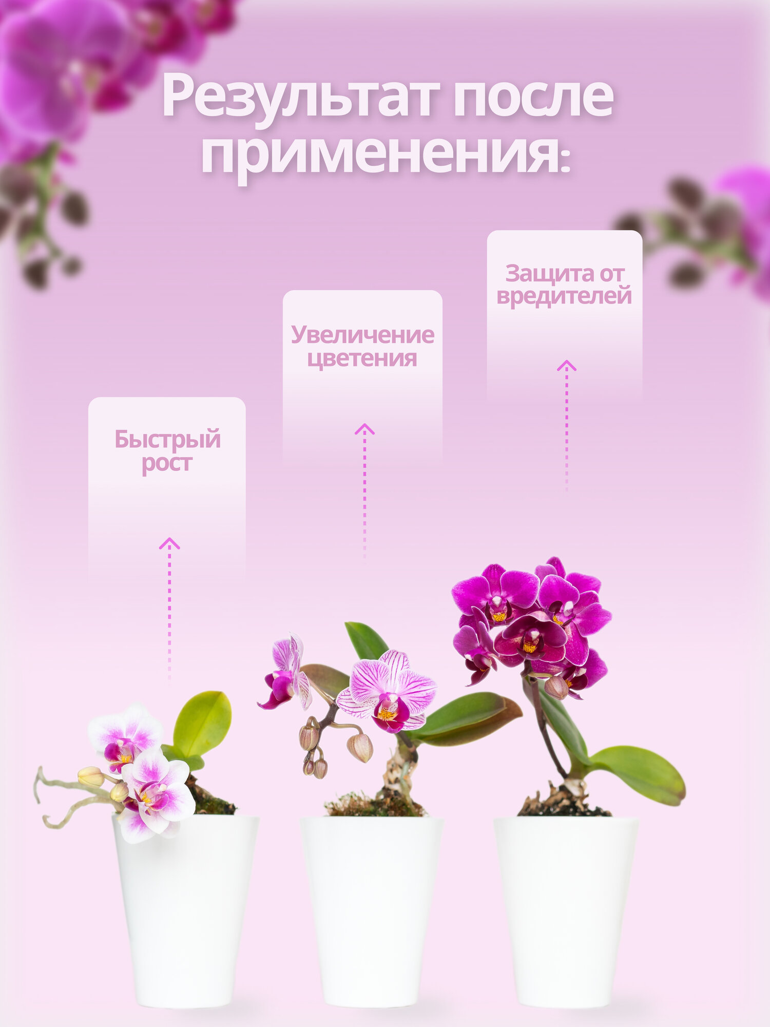 Удобрение Zaton "Орхидея", цеолит, в гранулах, для комнатных растений — фото 1