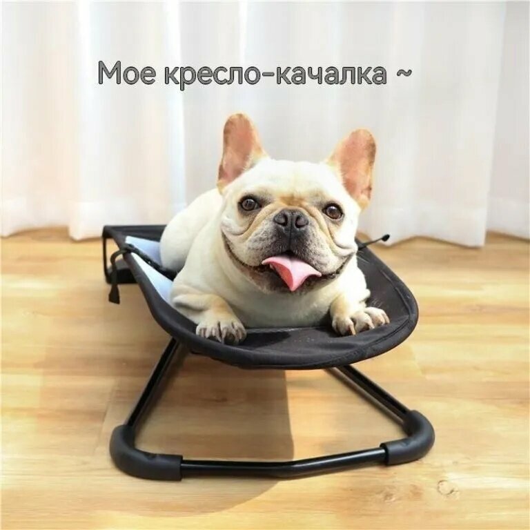 Собачья качающаяся кровать: переносная, складывающаяся и стиральная - для французских бульдогов, корги, пуделей, мальтийцев и йоркширских терьеров.