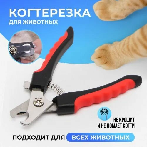 Когтерез