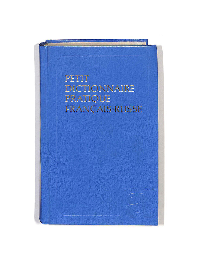 Petit dictionnaire pratique francais-russe. Краткий французско-русский учебный словарь