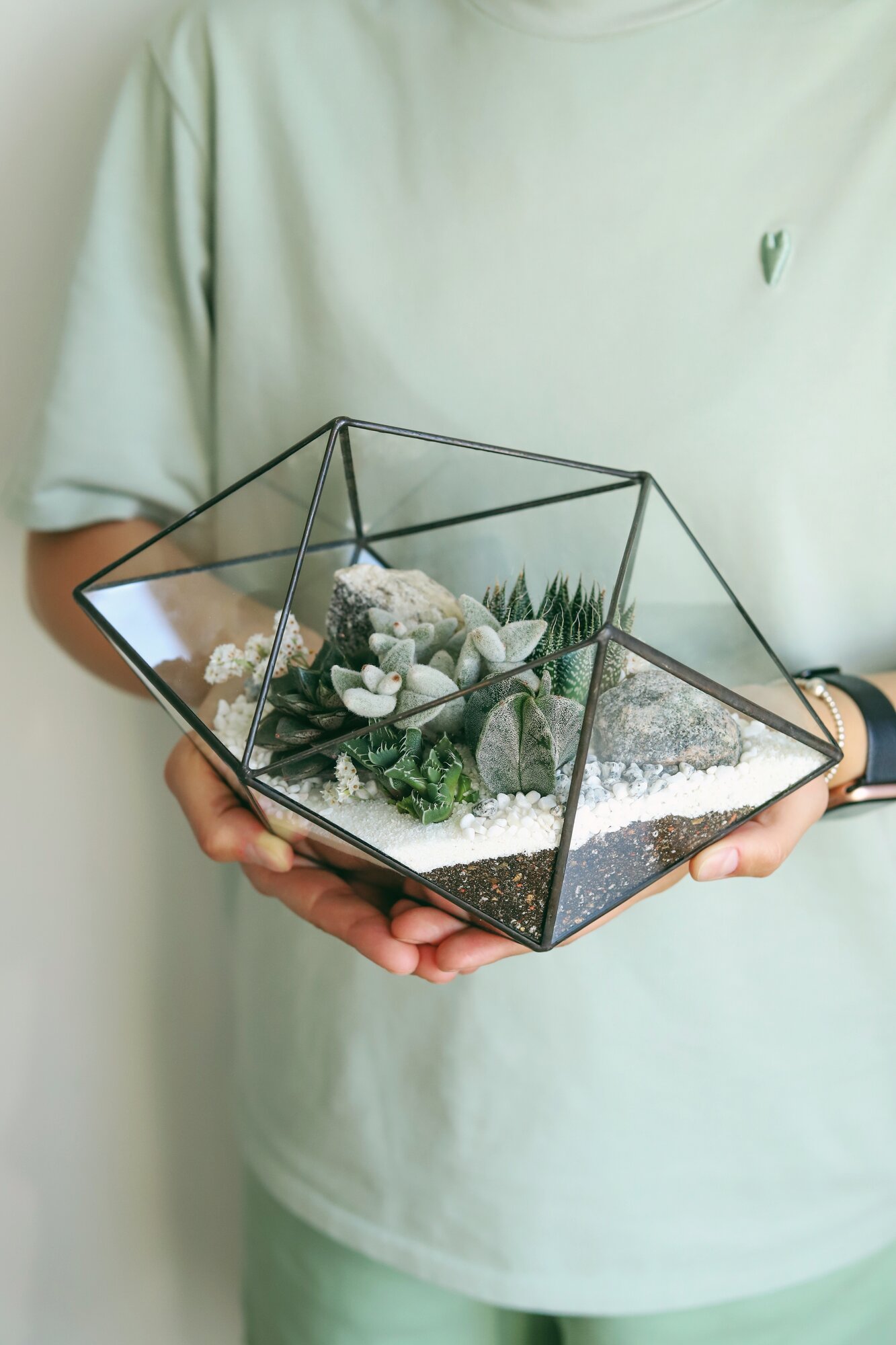 Флорариум с теневыносливыми суккулентами Кварц