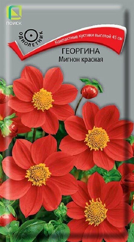 Семена цветов георгина Мигнон красная, для дачи, сада, огорода и на рассаду