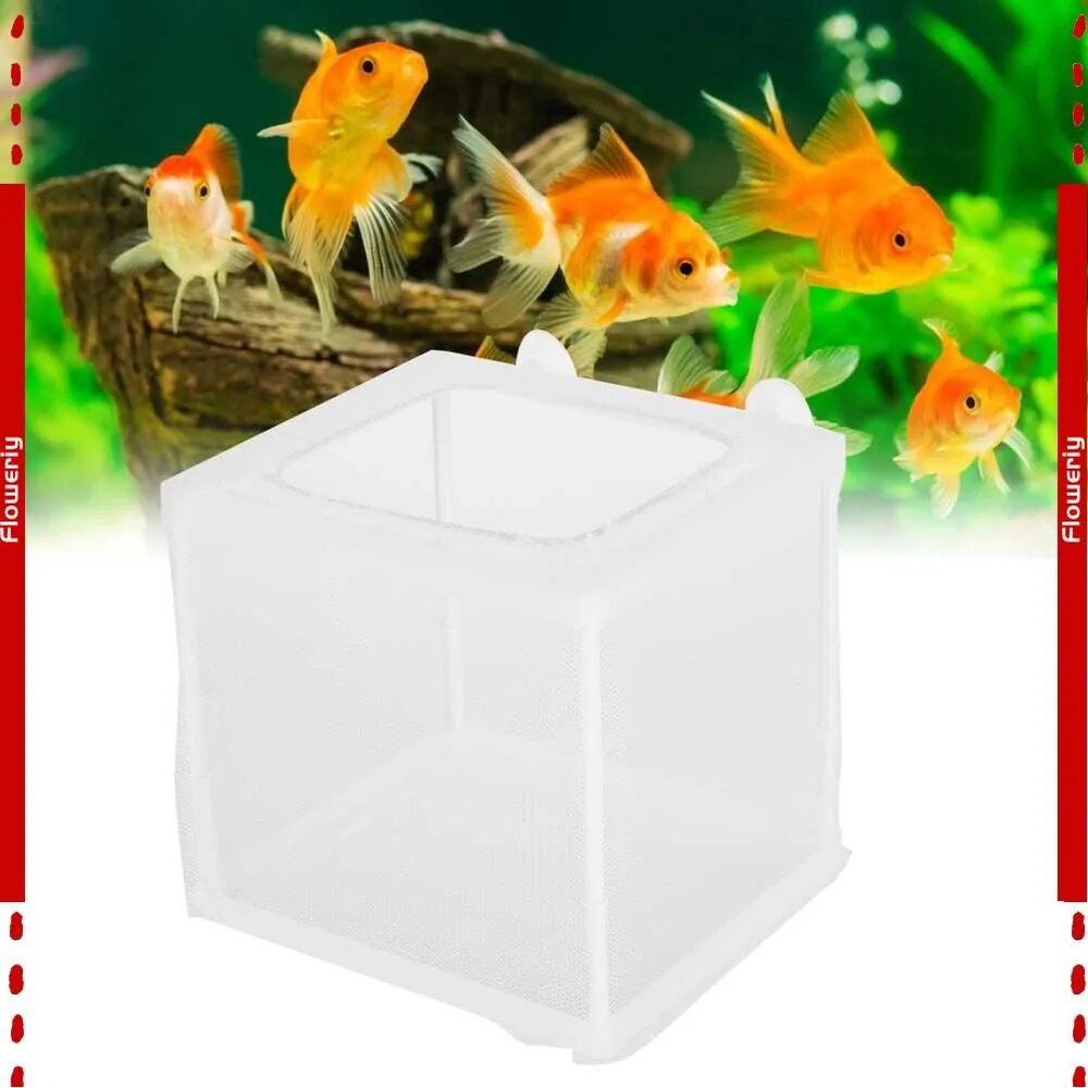 Аквариум, инкубатор для рыбы, защитный ящик для малышей, для всех аквариумов